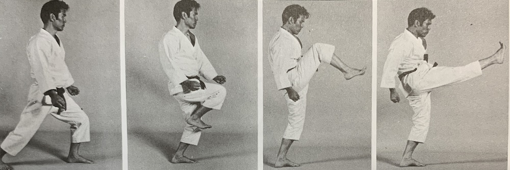 How Long to Yellow Belt & What is Required? » Vancouver Dojo